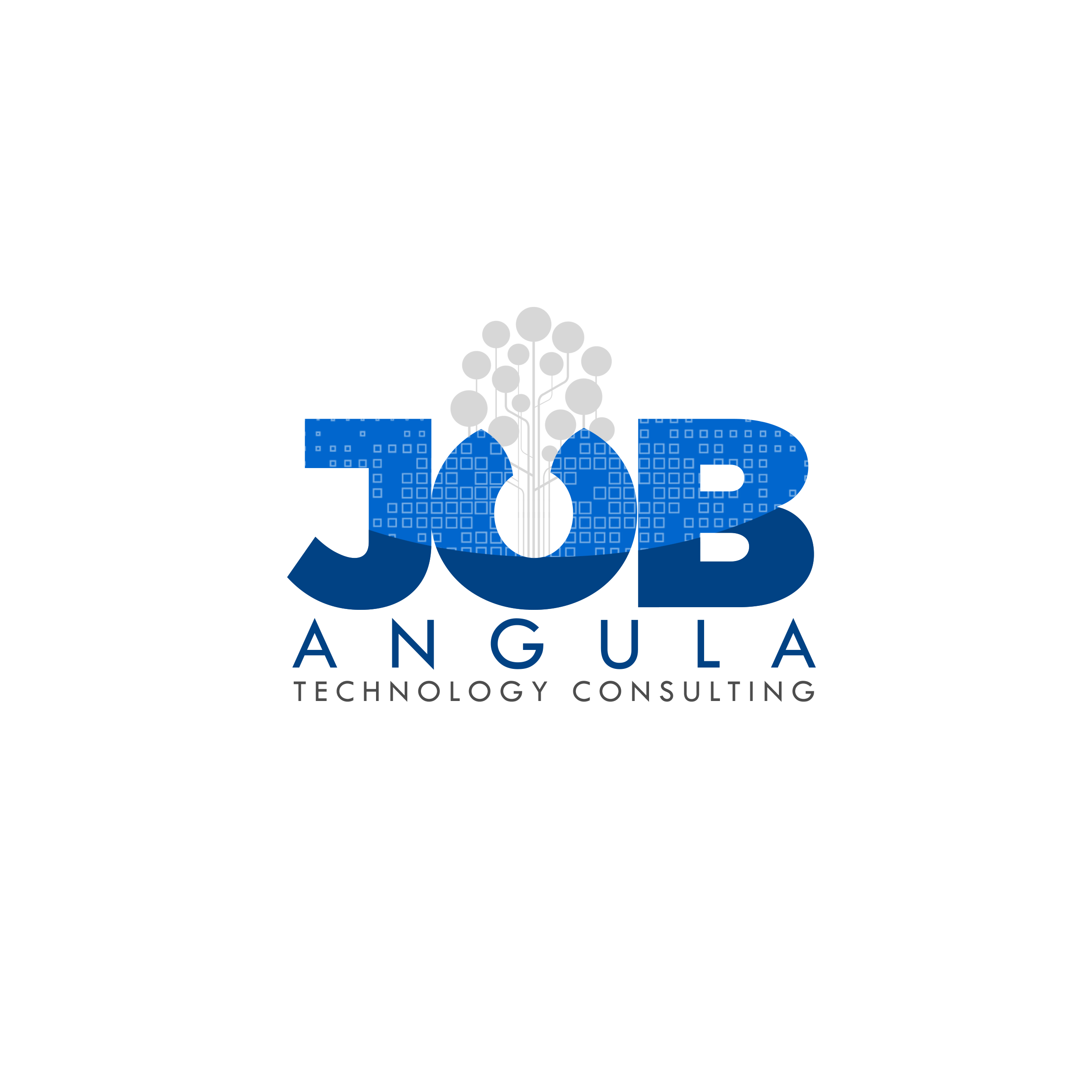 Angula Consulting | Technology Consulting & Digital Transformation